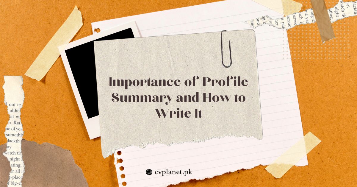Importance of Profile Summary and How to Write It – CVPlanet